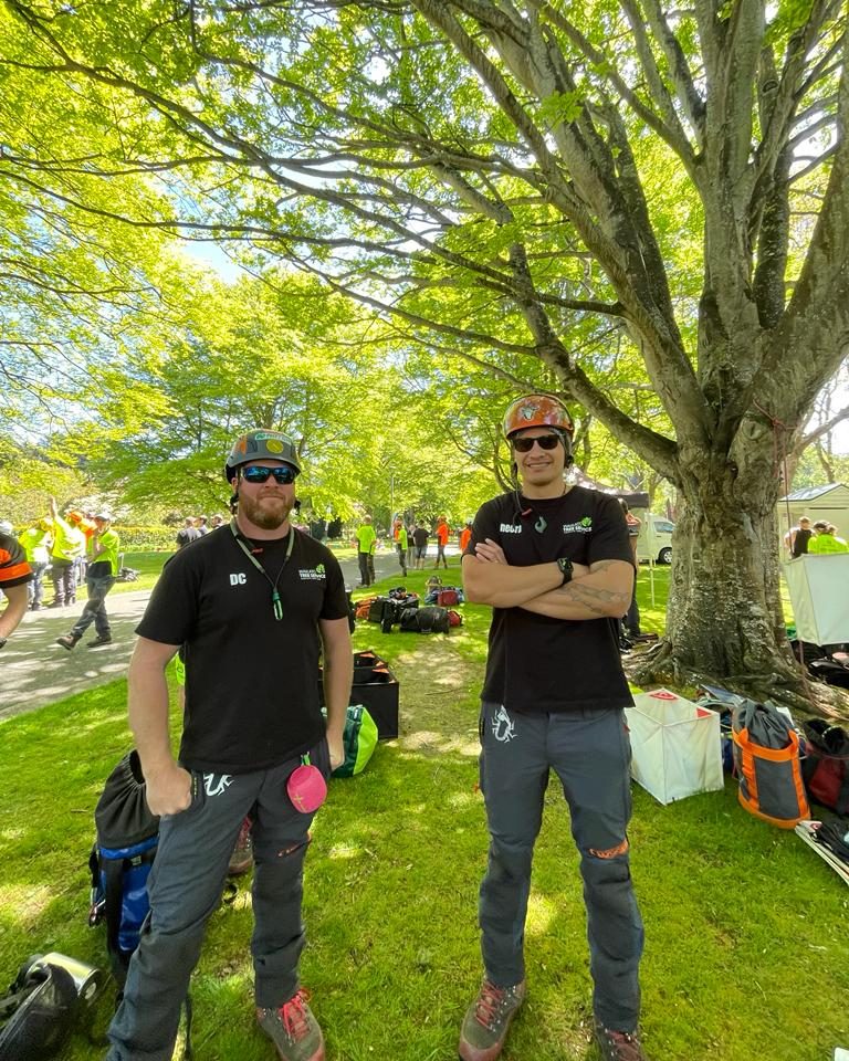 Arborist team climb to the top - Waipa Networks