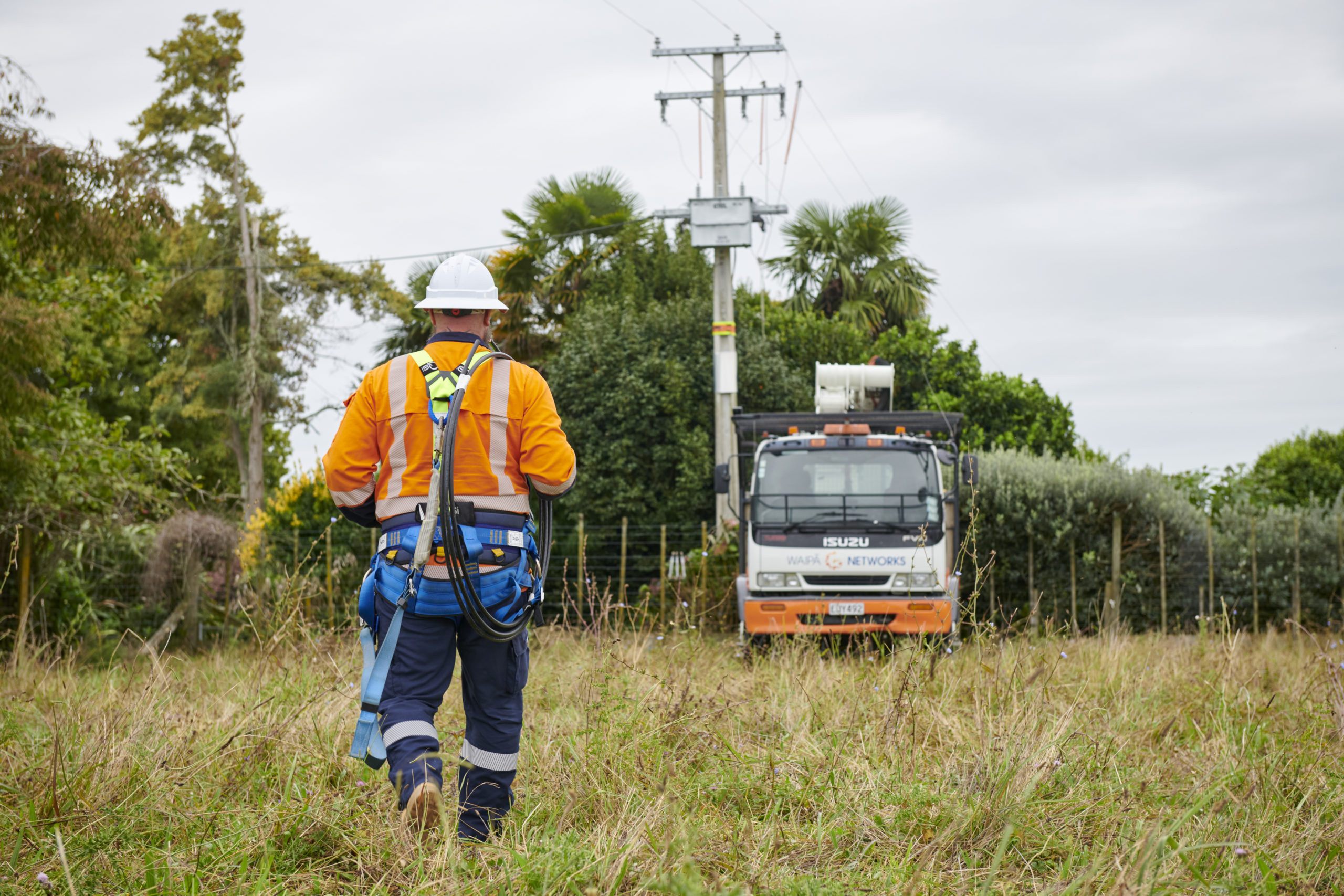 Tree safety notices - Waipa Networks