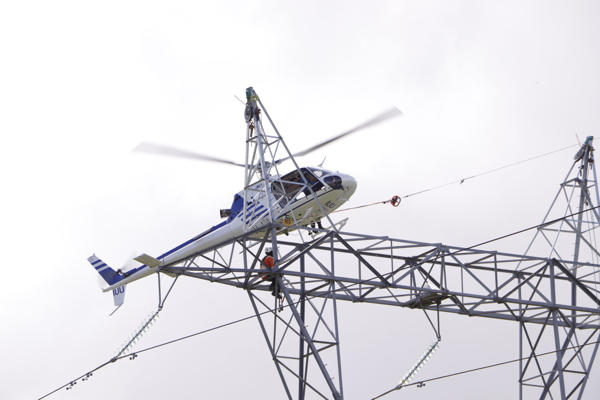 Hautapu Substation Project - Waipa Networks