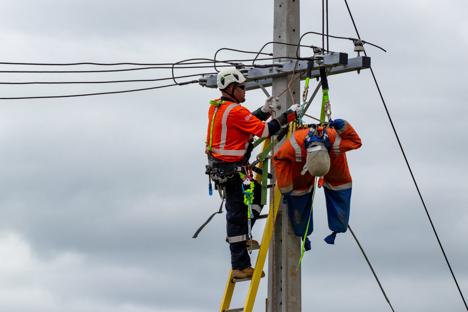 Te Awamutu family’s 92-year legacy of keeping the lights on in Waipā - Waipa Networks